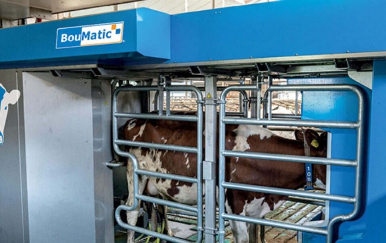 Robots de traite pour vaches laitières | Éric Grondin Inc.